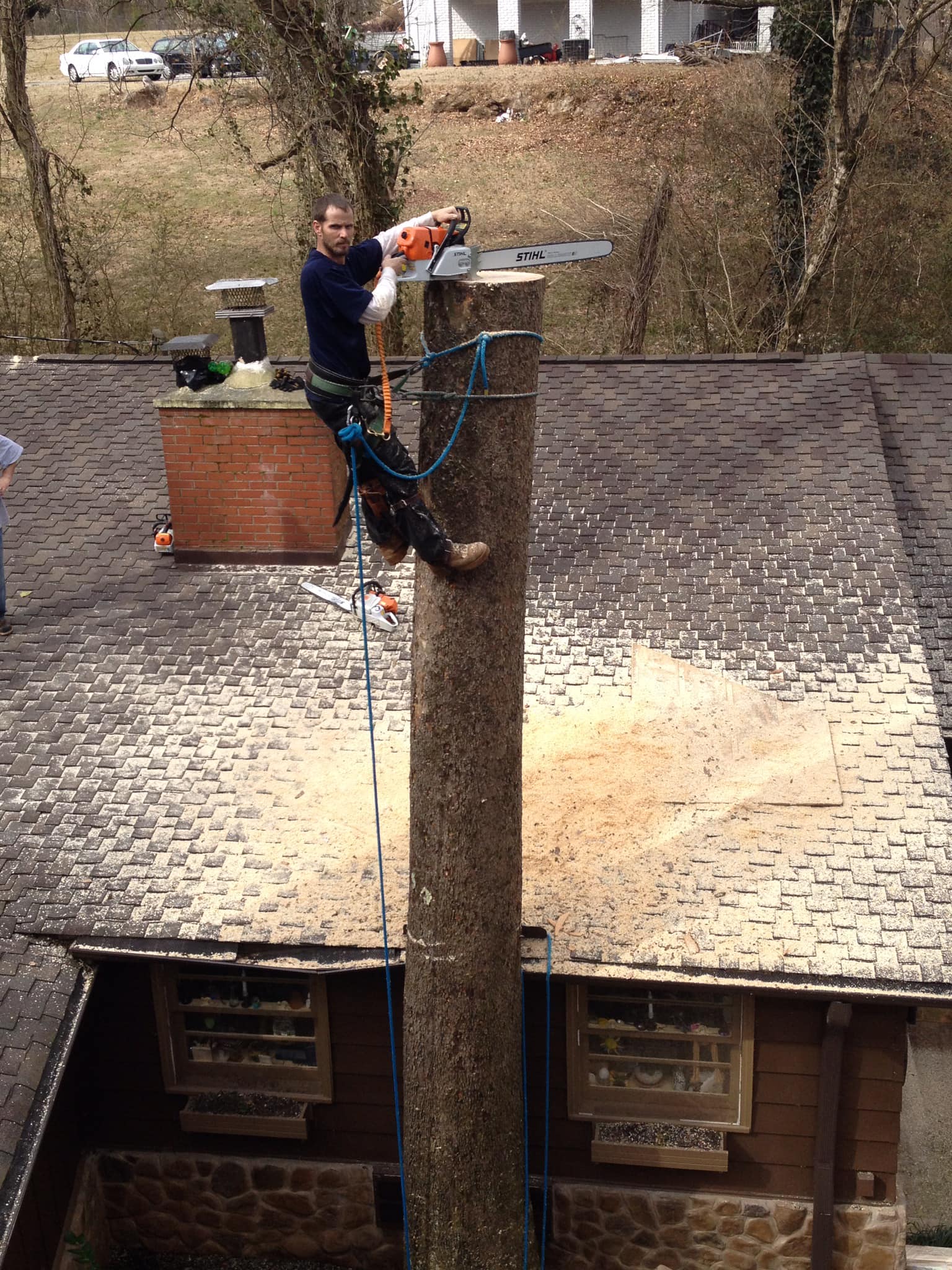 Residential Tree Removal Near House Wall in Knoxville - Pro Tree of ...